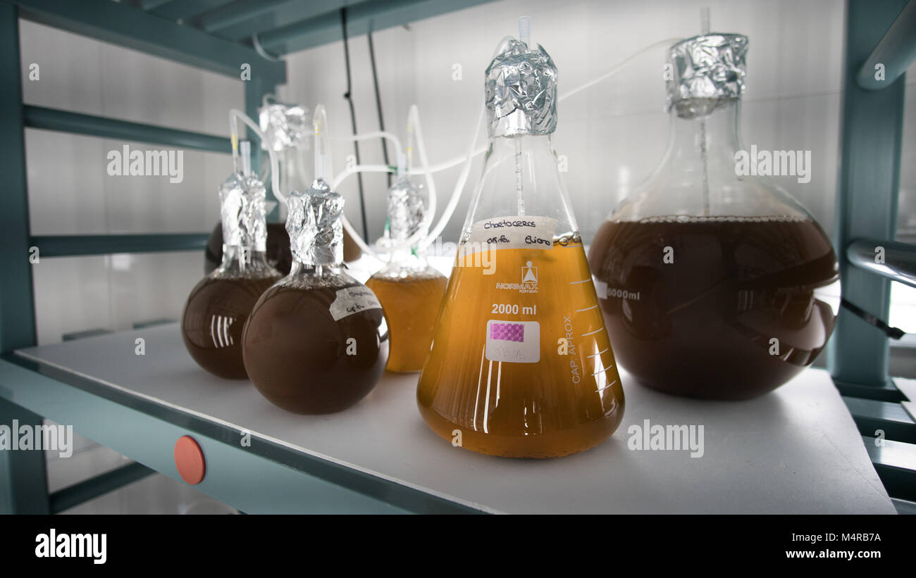 Laboratory colourful liquids and chemicals Stock Photo - Alamy