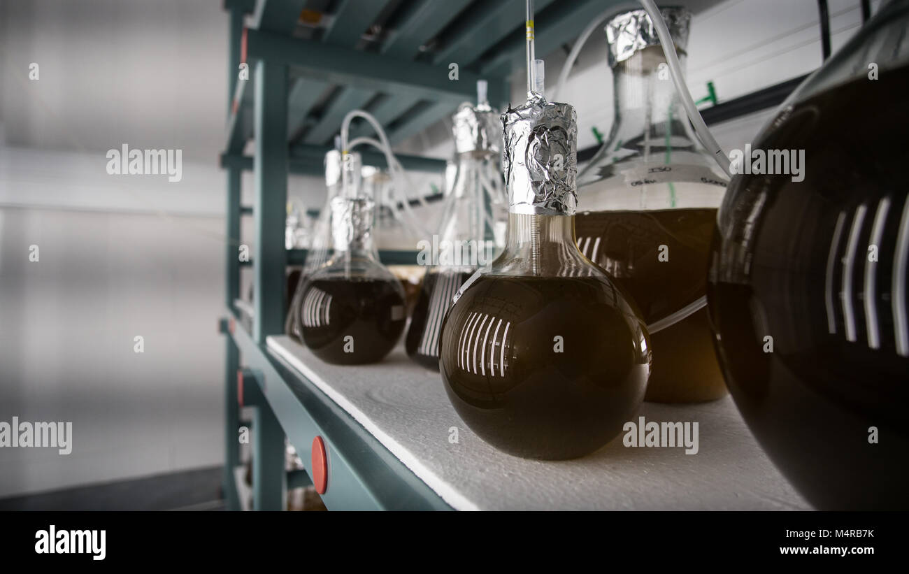 Laboratory colourful liquids and chemicals Stock Photo - Alamy