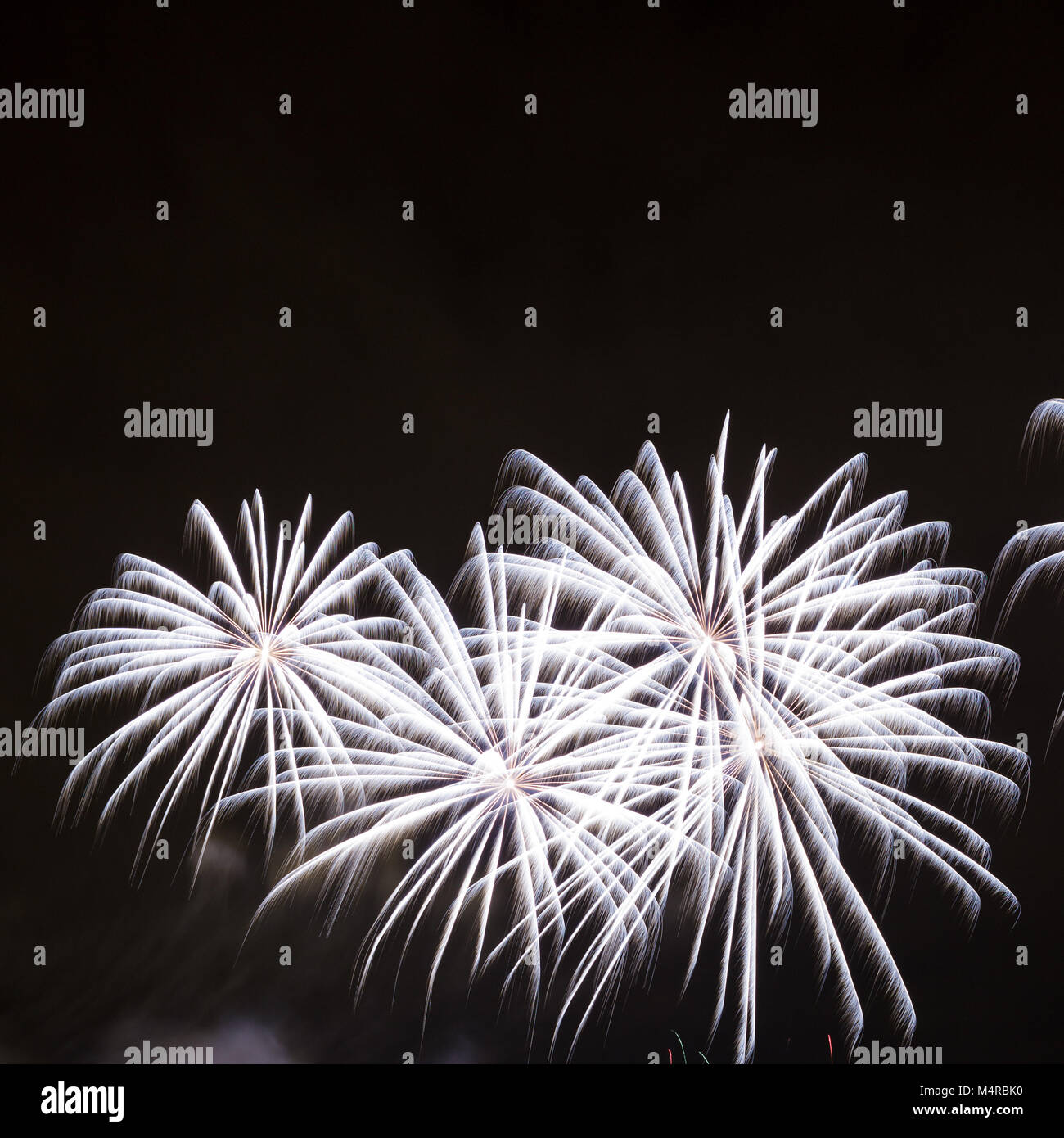 Beautiful fireworks on night sky Stock Photo - Alamy