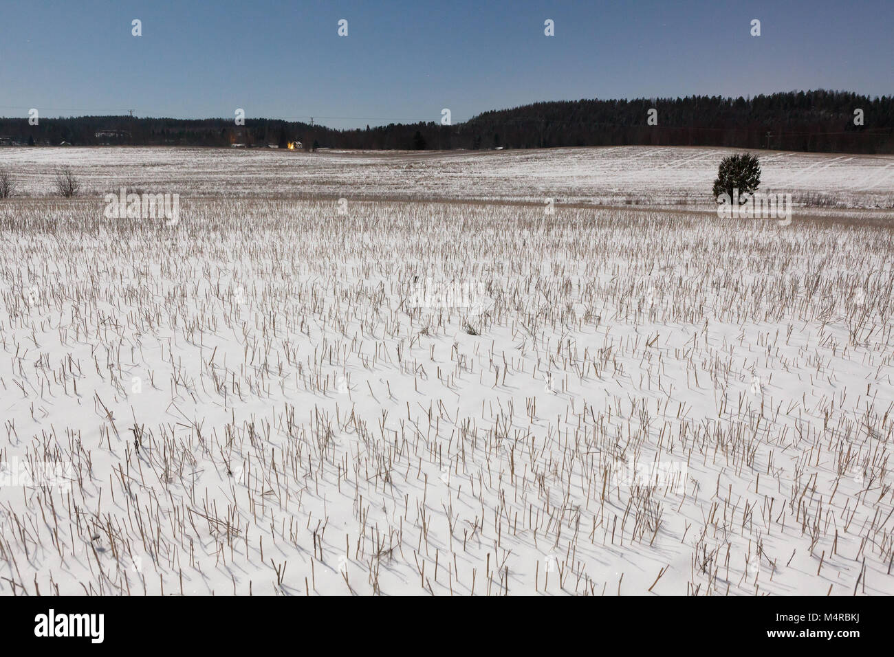 Snowy field at winter night Stock Photo - Alamy