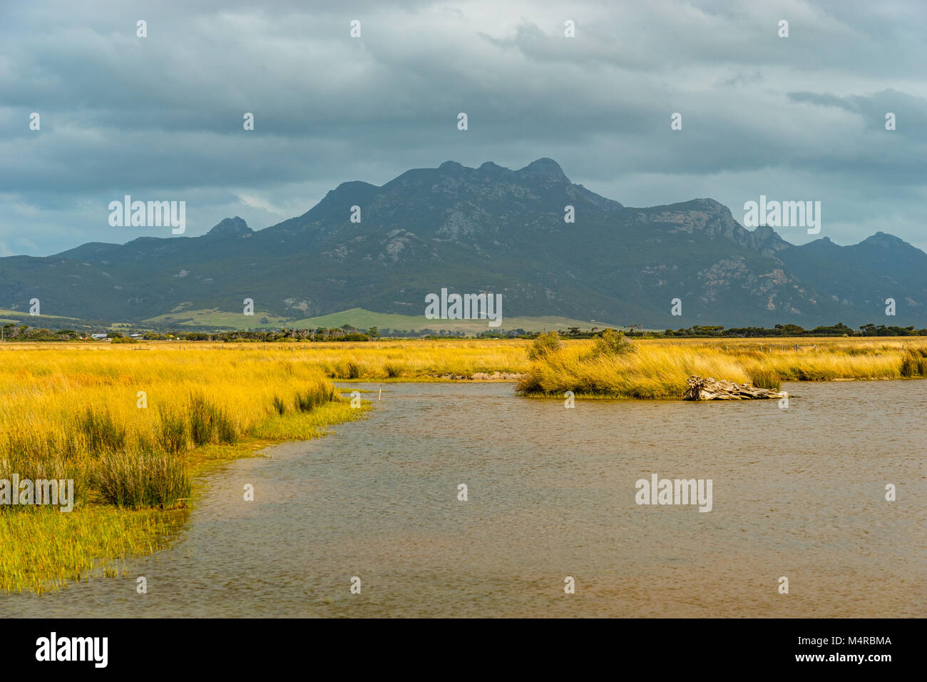 Mount Strzelecki on Flinders Island, Tasmania Stock Photo - Alamy