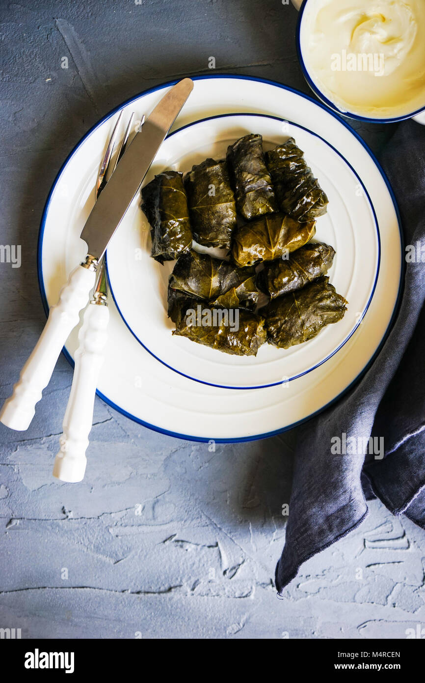Traditional georgian dolma in grape leaves on rustic wooden table with ...