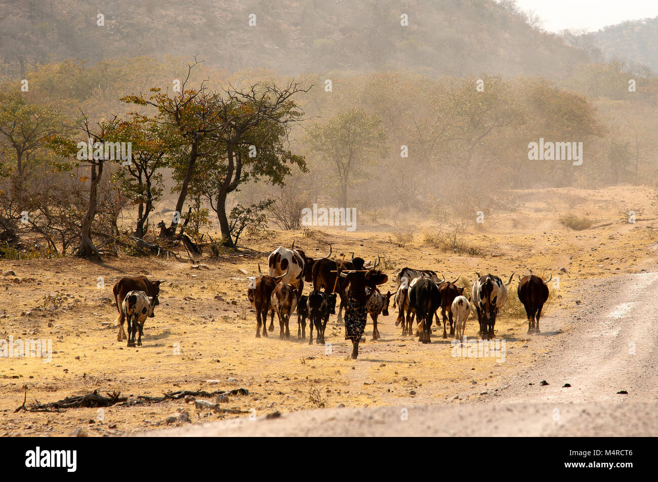 Himba tribe man hi-res stock photography and images - Alamy