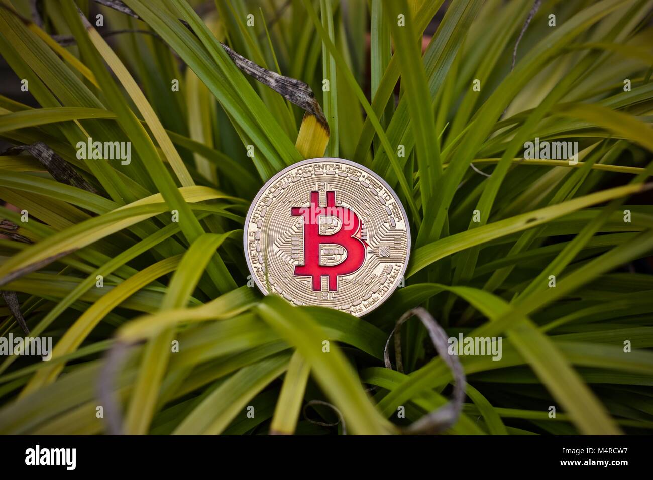 Digital currency physical metal bitcoin coin. Cryptocurrency outdoor ...