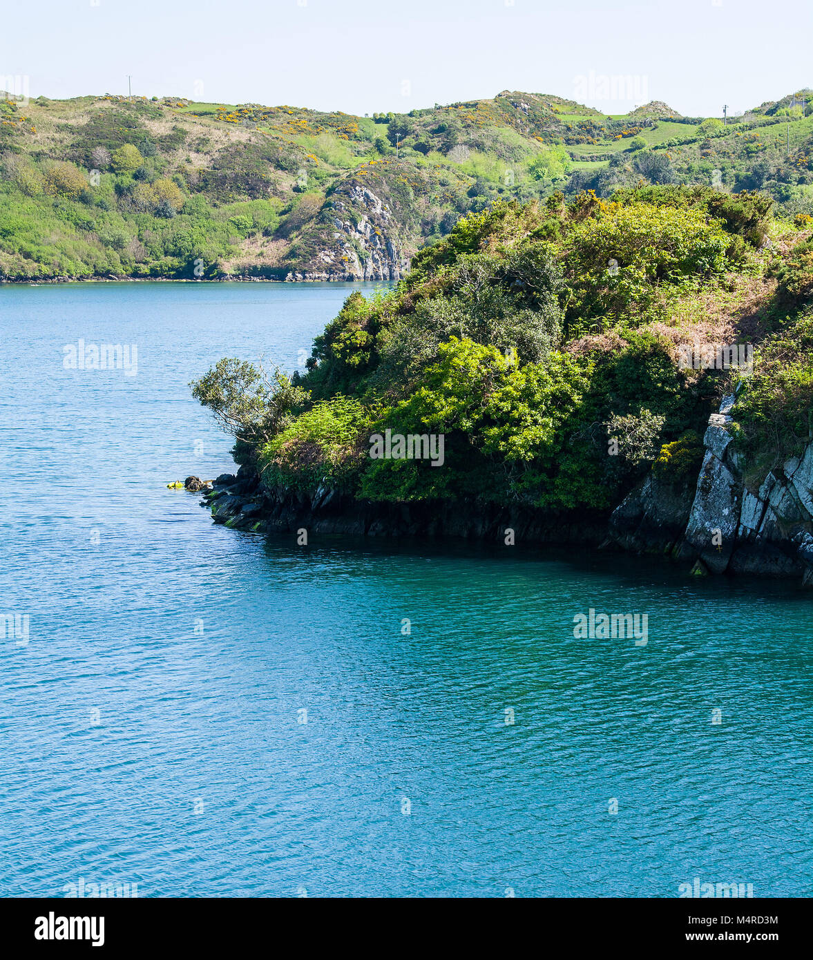 Loch Hyne nature reserve, Wild Atlantic Way, Ireland Stock Photo - Alamy