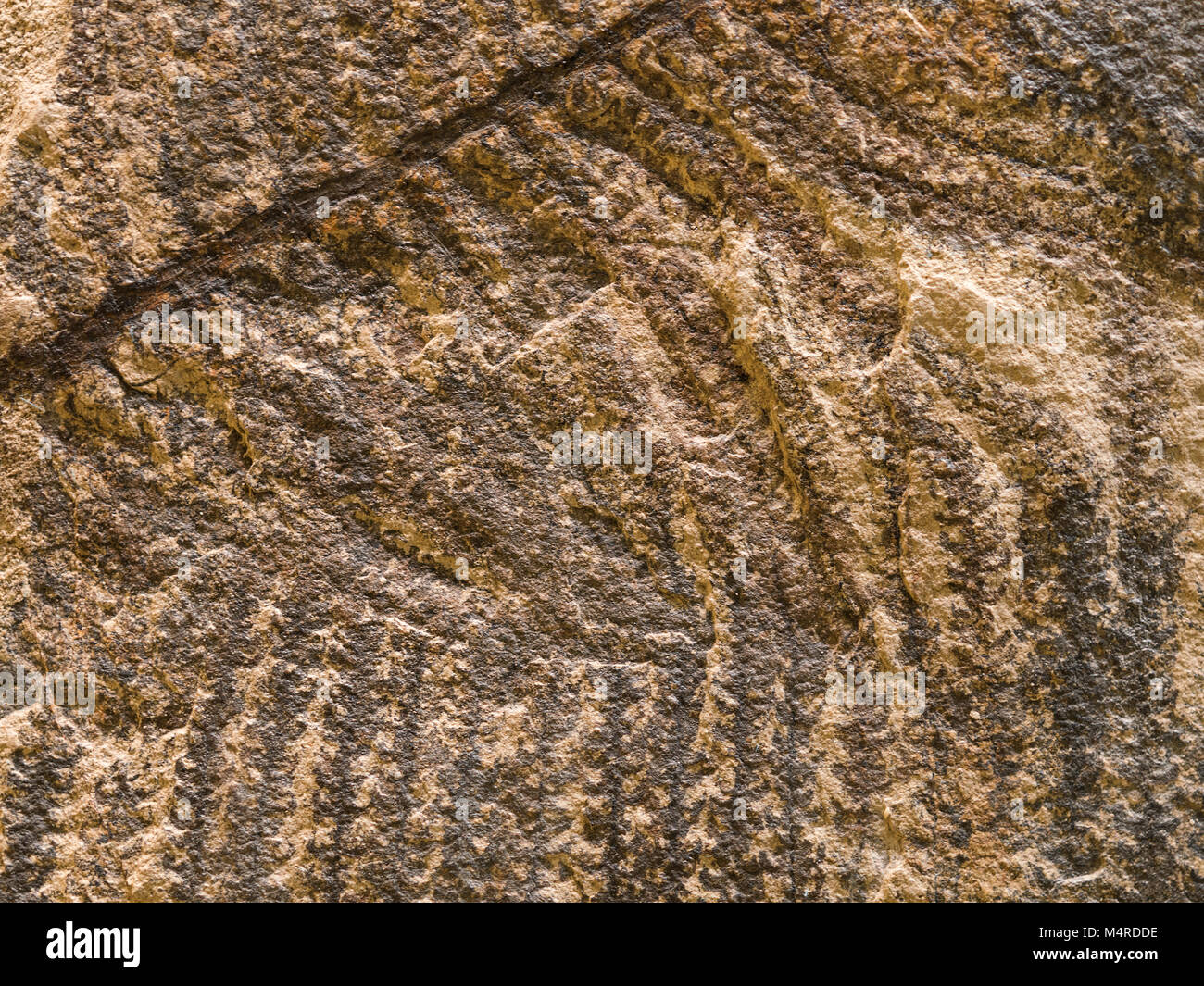 Archaeological background with stone texture and petrified ...