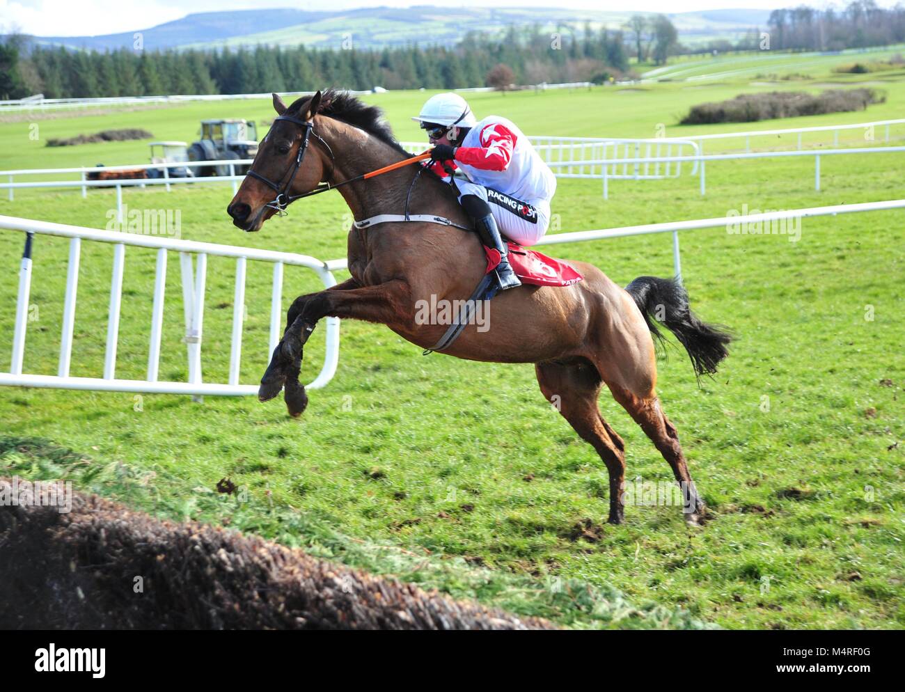 Tongie and Danny Mullins jump the last to win the Careys Cottage ...