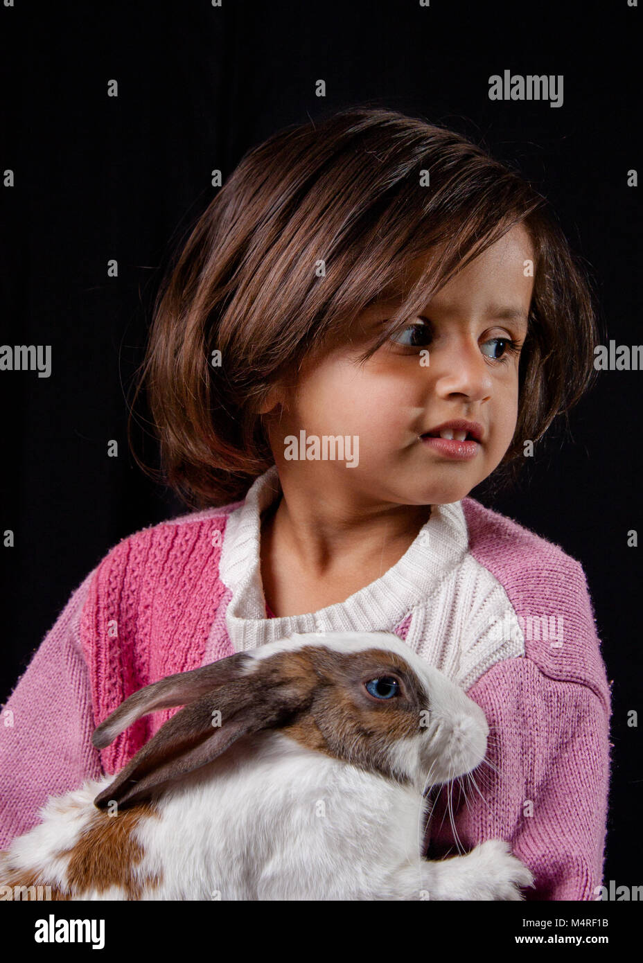 Pet rabbit and kid hi-res stock photography and images - Alamy