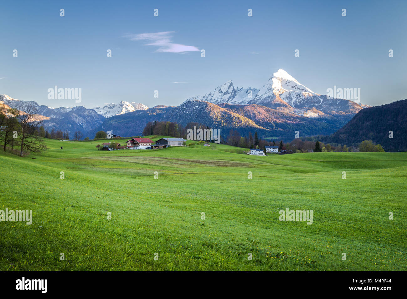 Beautiful view of idyllic alpine mountain scenery with green meadows ...