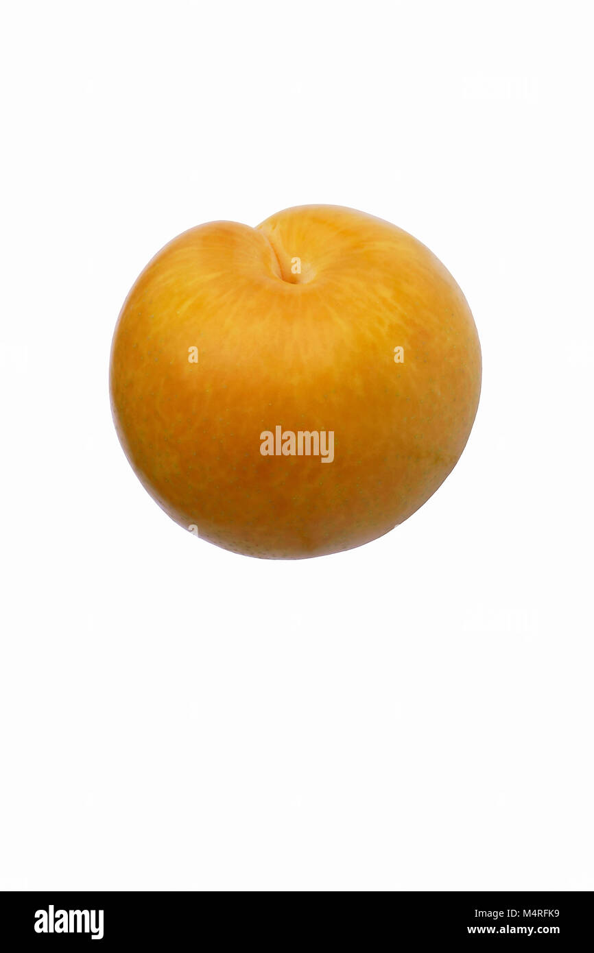 Early Dapple pluot (Prunus x Early Dapple). Called Early Dapple ...