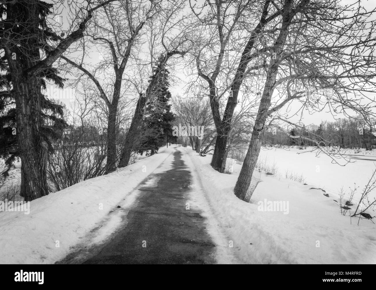 Pathway with black ice Black and White Stock Photos & Images - Alamy