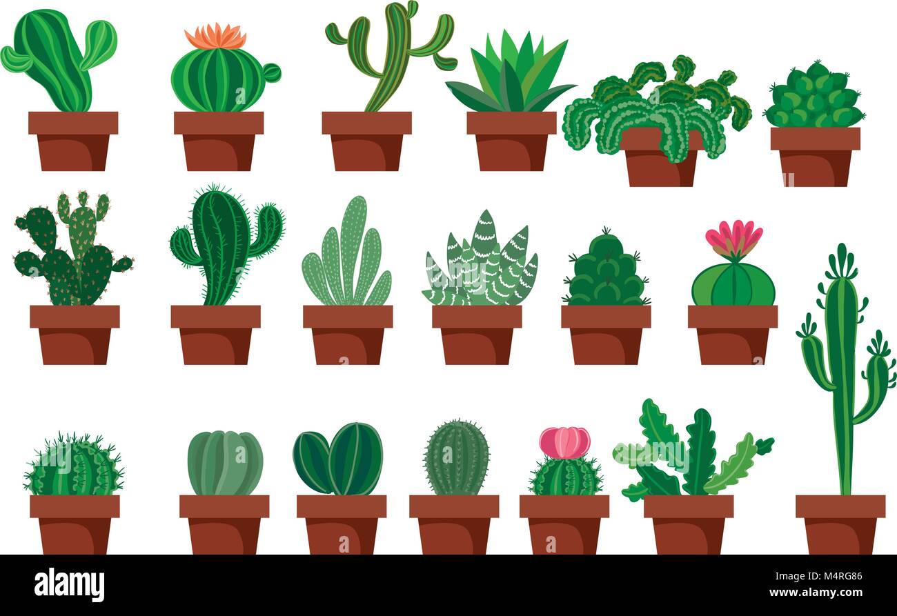Creative conceptual vector. Drawn cactus set Stock Vector Image & Art ...