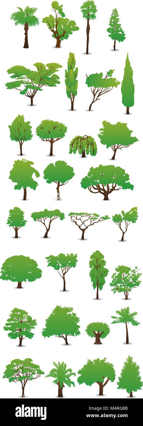 Creative conceptual vector. Drawn tree set Stock Vector Image & Art - Alamy