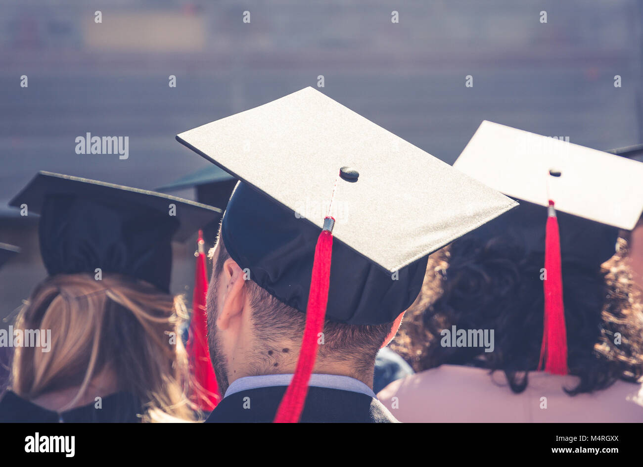 Back of graduates during the graduation ceremony. Close up at graduate ...