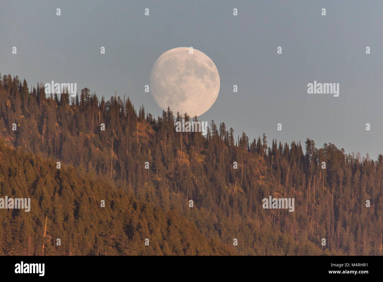 Moonrise over glacier national hi-res stock photography and images - Alamy