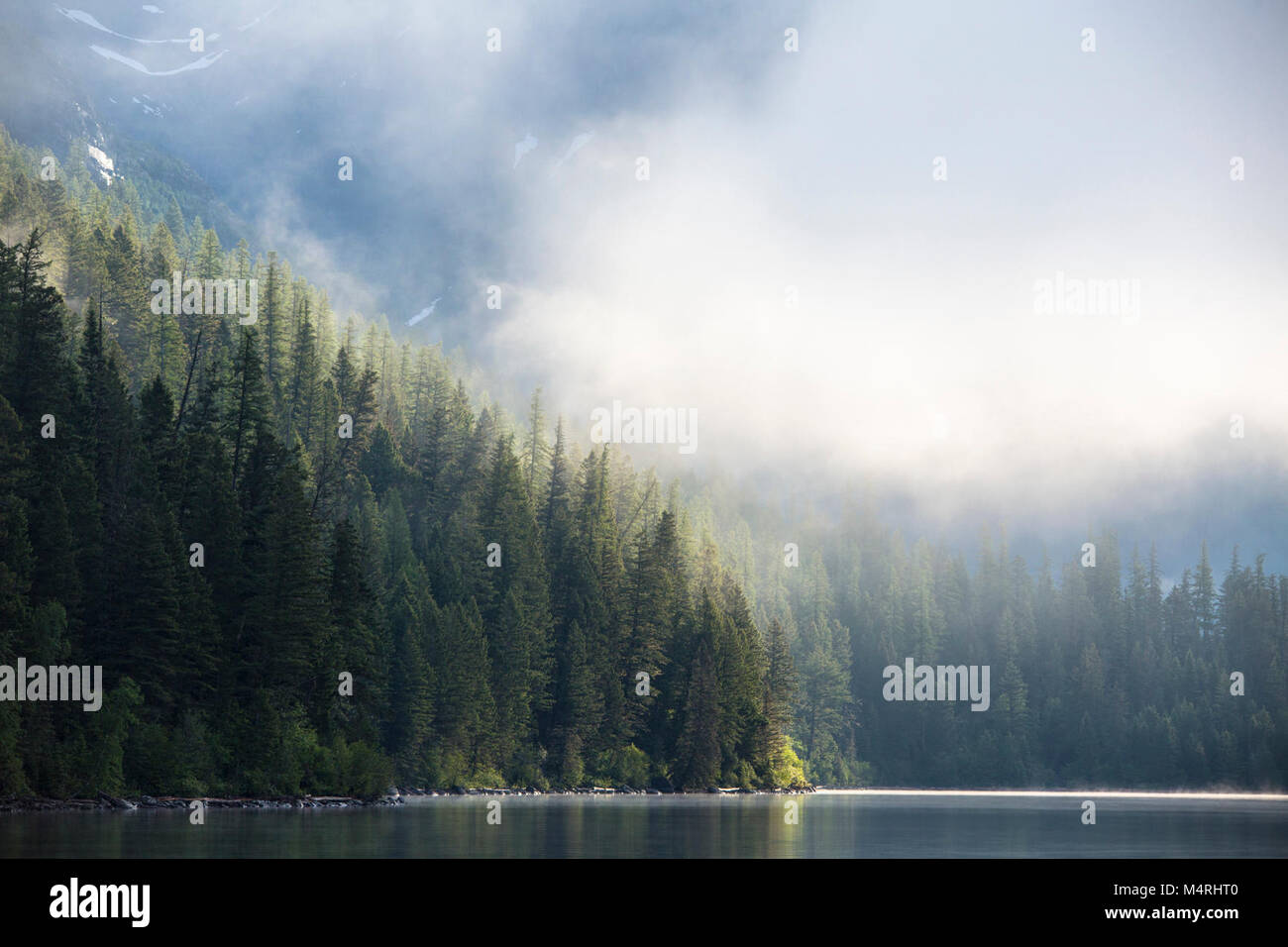 Morning Fog and Trees on Quartz lake Stock Photo - Alamy