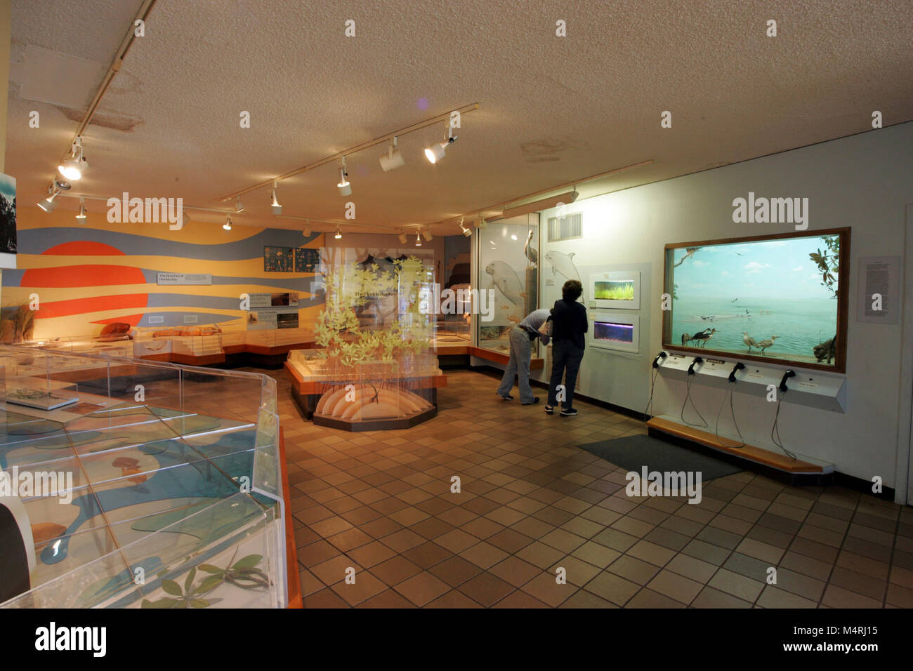 Museum in Flamingo Visitor Center Museum in Flamingo Visitor Center ...