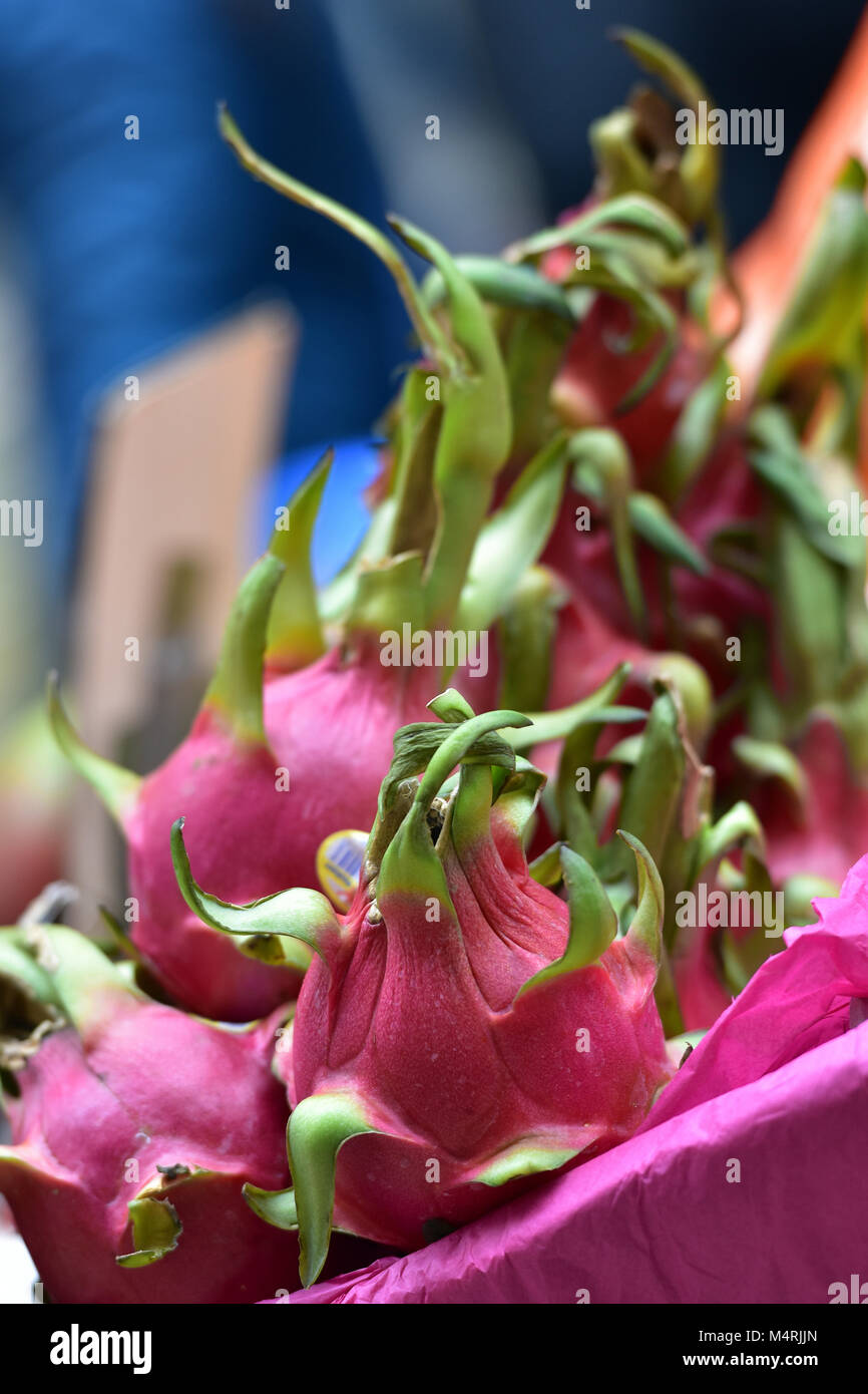 A number of pitahaya or dragon fruits on display at a fresh fruit and ...