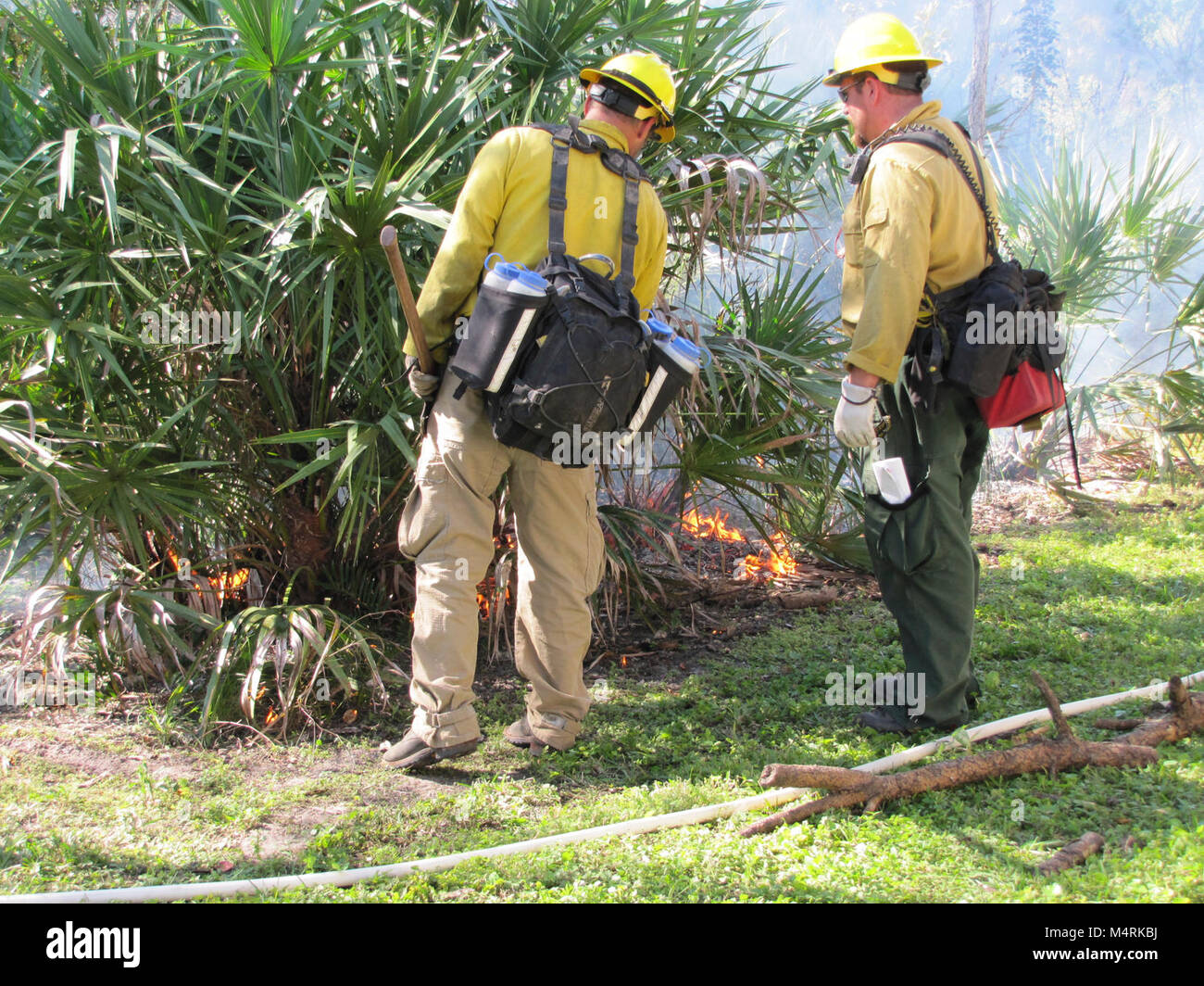 Prescribed fire near park structures Stock Photo - Alamy