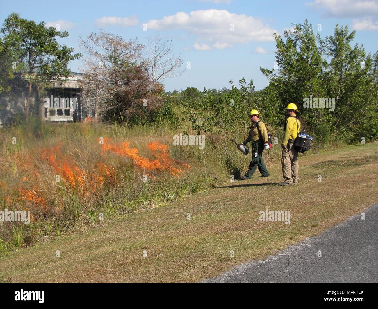 Prescribed fire near park structures Stock Photo - Alamy