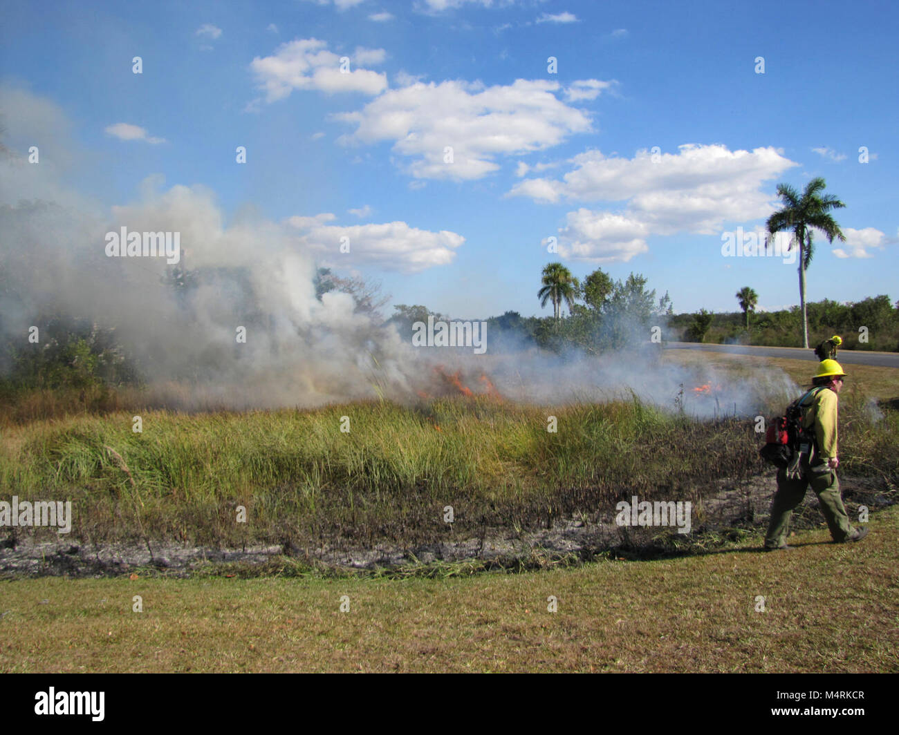 Prescribed fire florida hi-res stock photography and images - Alamy