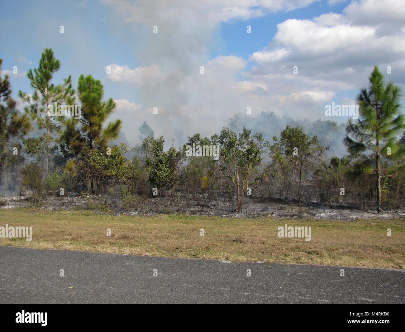 Prescribed fire near park structures Stock Photo - Alamy
