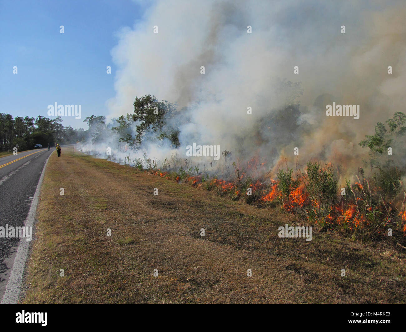 Prescribed fire near park structures Stock Photo - Alamy