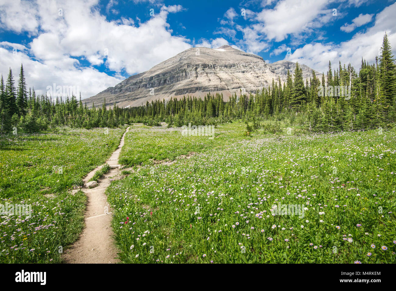 Preston park montana hi-res stock photography and images - Alamy