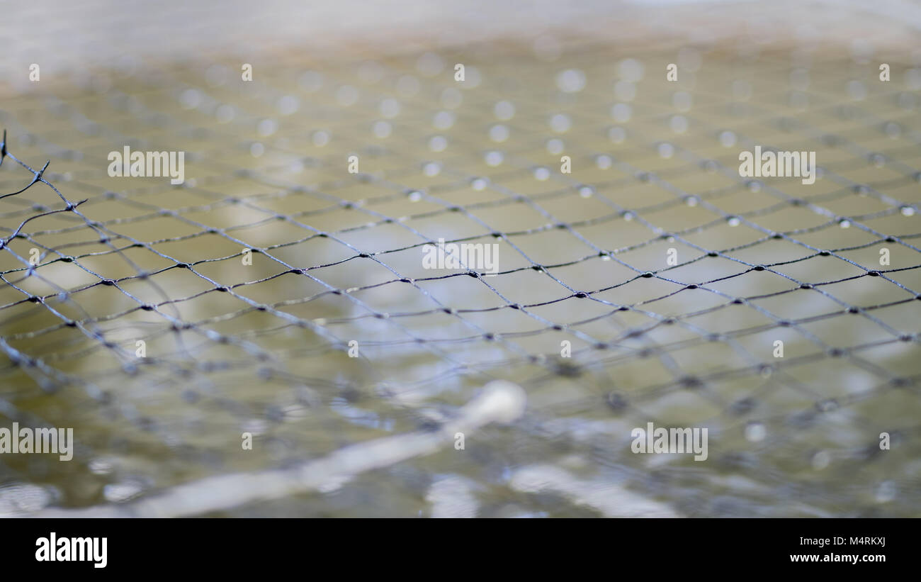 Black net above the tank with water drops on it Stock Photo - Alamy