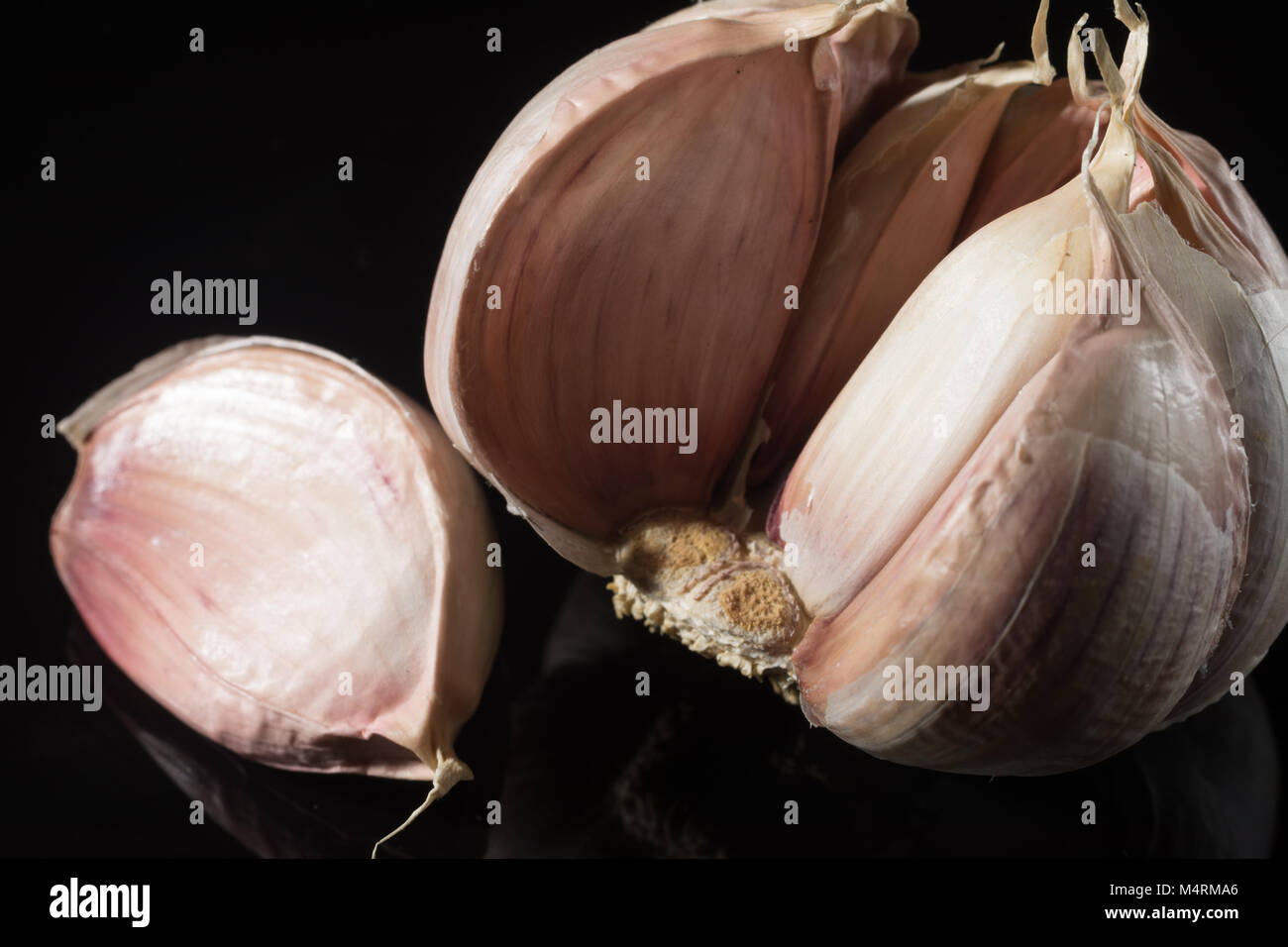 Macro collection, french pink garlic head close up on black background ...