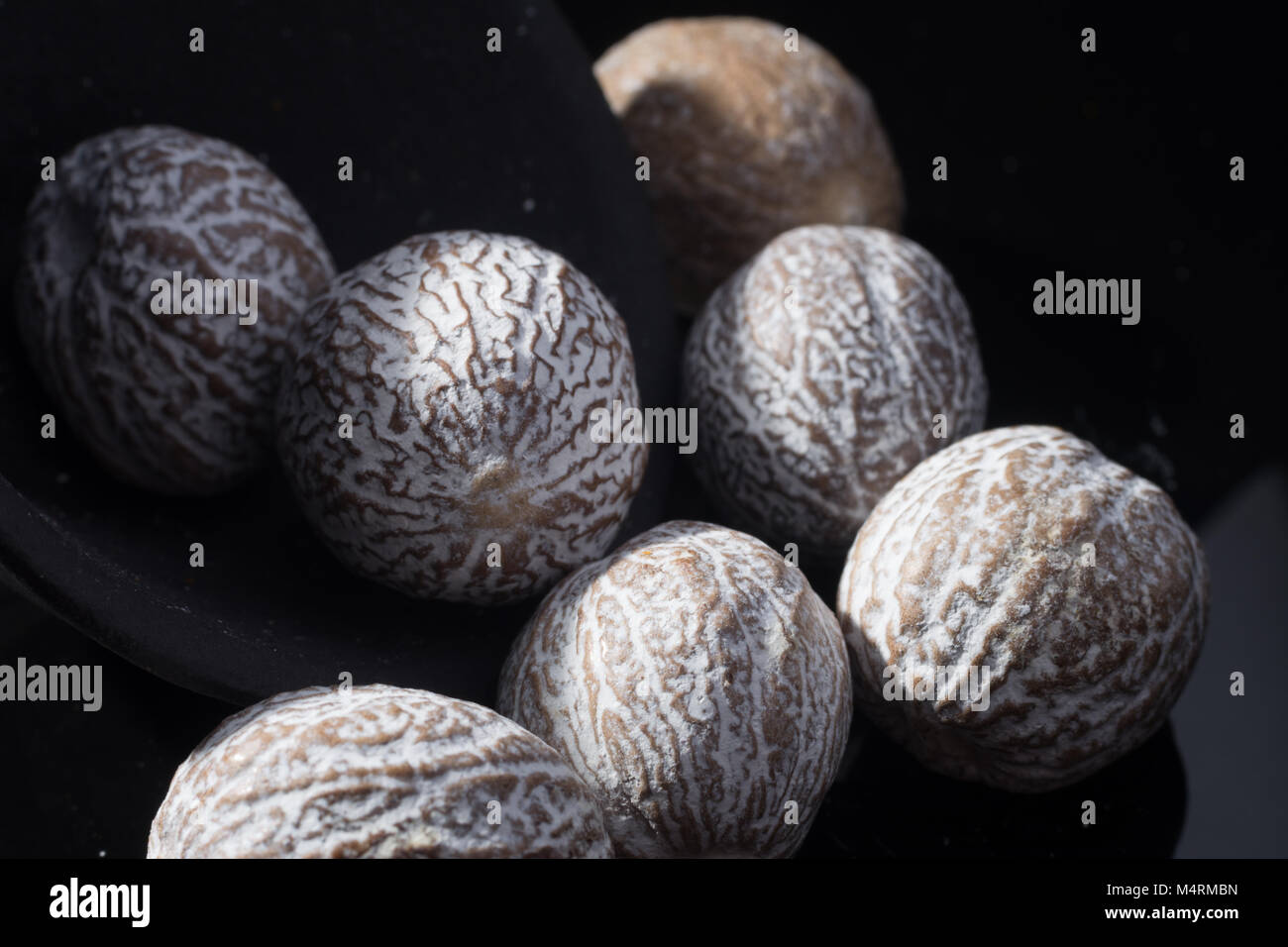 Macro collection, dried muscat nutmeg close up on black background ...