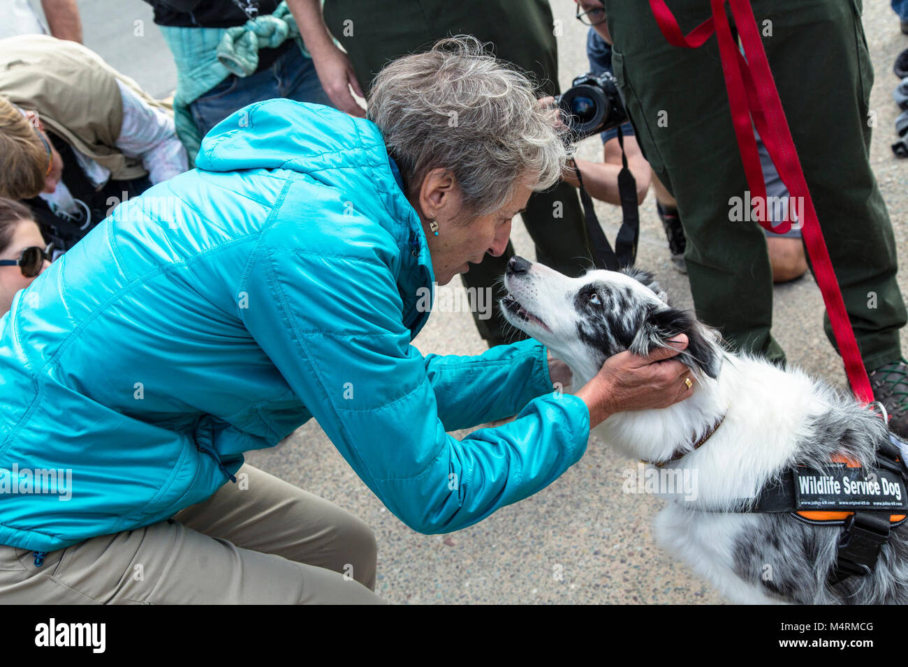 Secretary Jewell and Gracie Stock Photo - Alamy