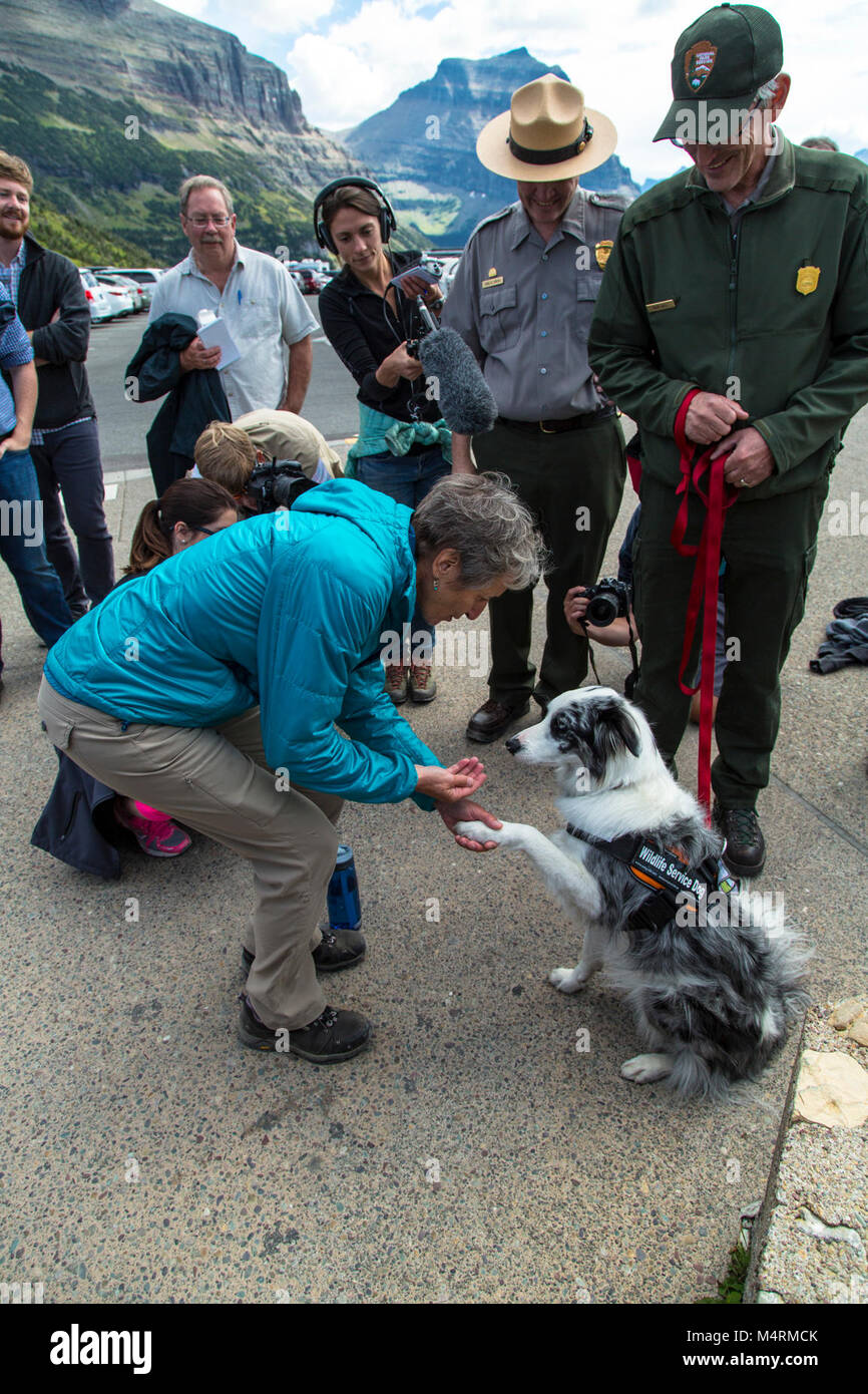 Secretary Jewell and Gracie Stock Photo - Alamy