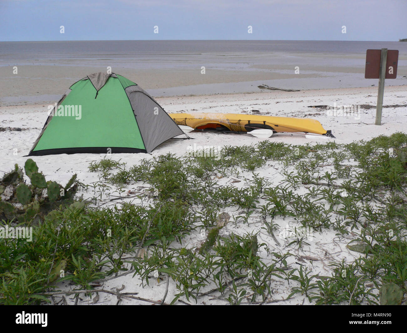 Key tiger hi-res stock photography and images - Alamy