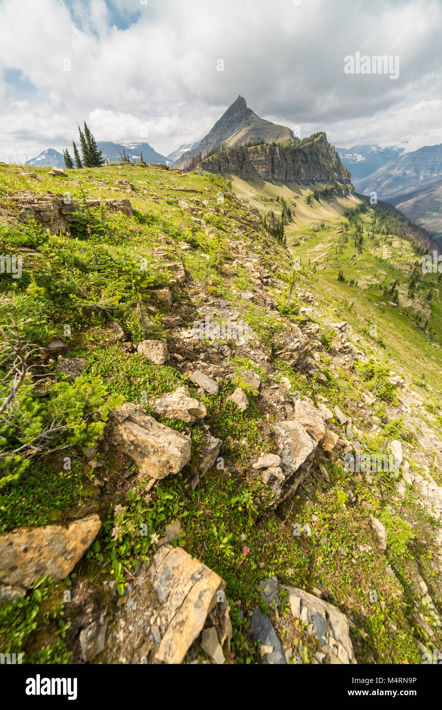 Tinkham hi-res stock photography and images - Alamy