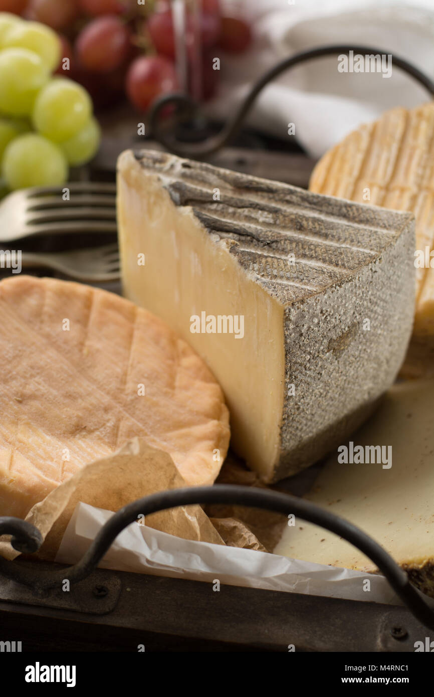 Tasting of oldest french AOC soft pudgent yellow cheese Livarot ...