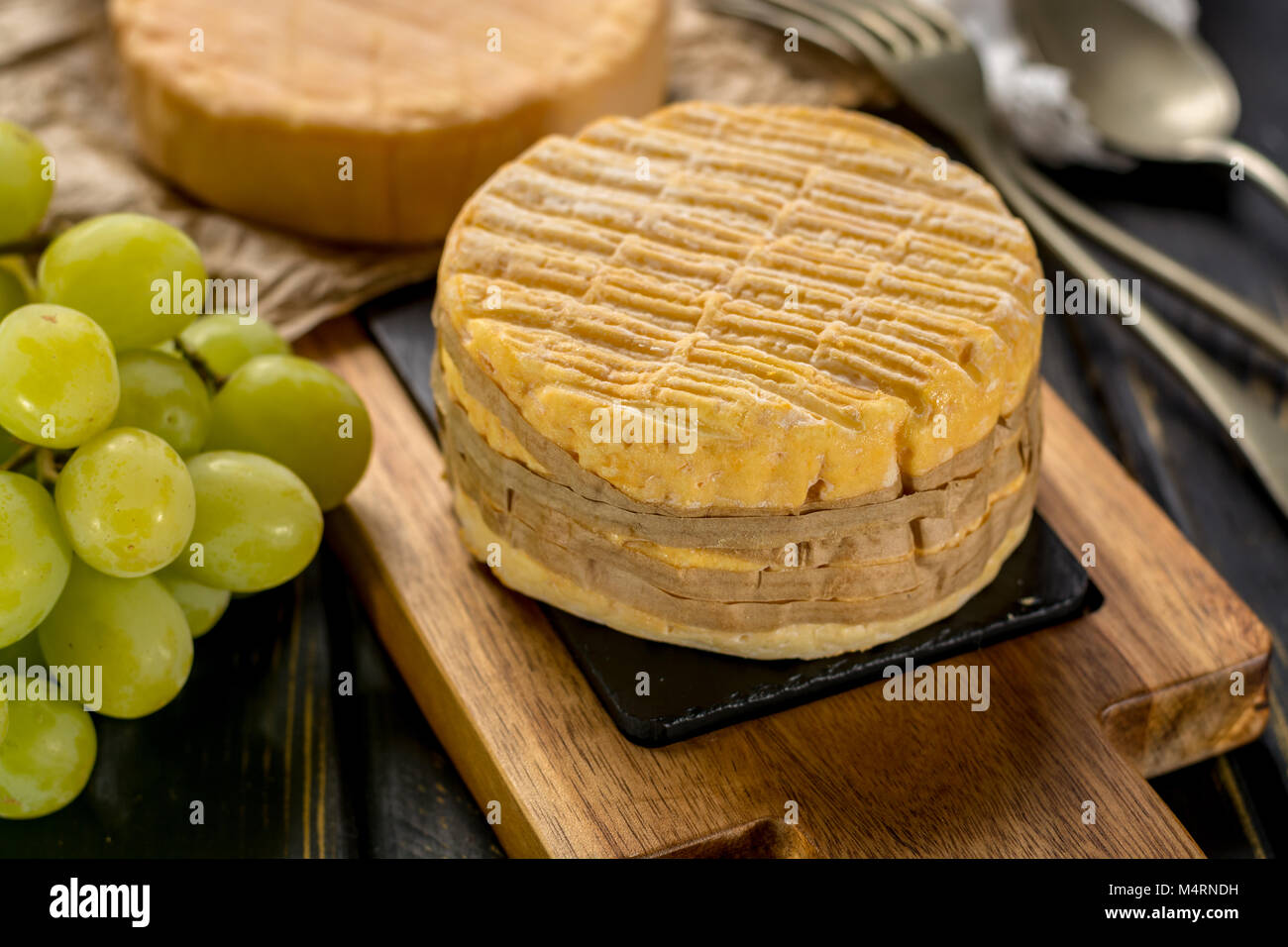 Tasting of oldest french AOC soft pudgent wrapped yellow cheese Livarot ...
