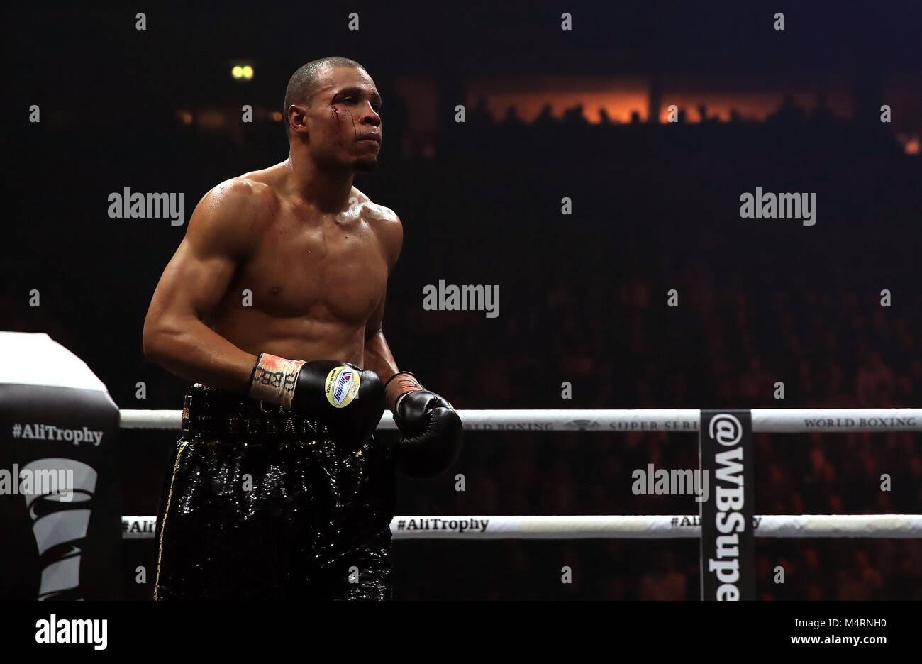 Chris Eubank during the WBA Super-Middleweight title fight at the ...