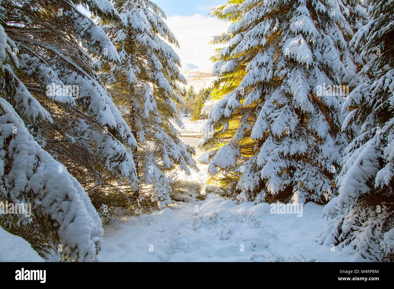 The Beacons Reservoir in Winter with a beautiful snow landscape. The ...