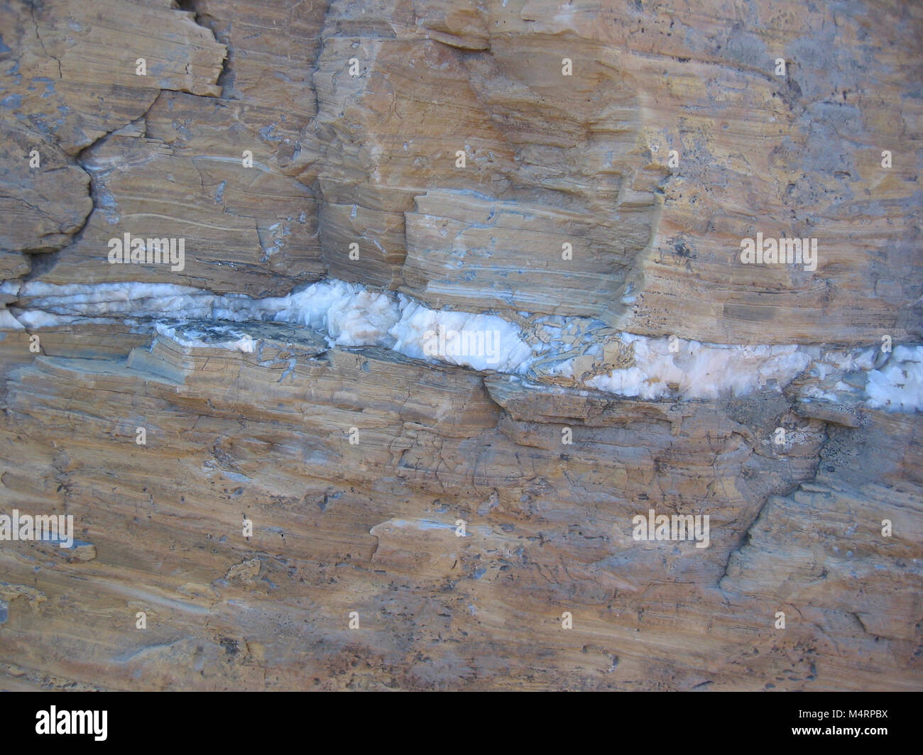 A seam of quartz in one of Glacier's ancient sedimentary rocks..Seams ...