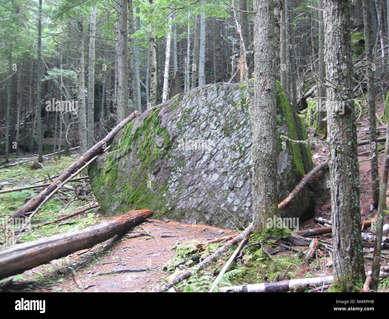 Large boulders along the Avalanche Lake Trail Stock Photo - Alamy