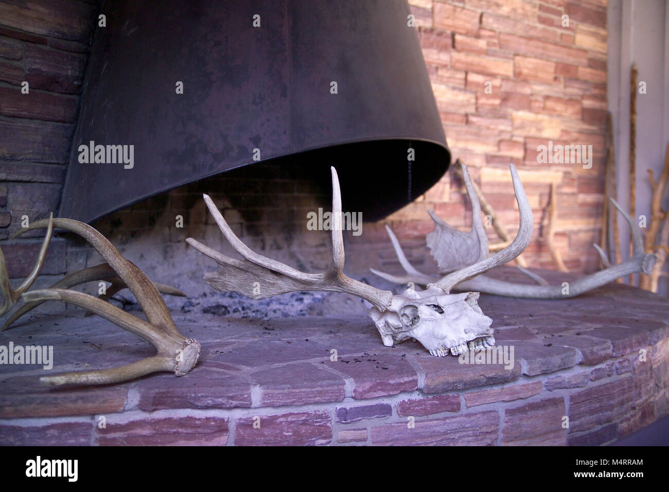 Antlers at Goat Haunt Stock Photo - Alamy