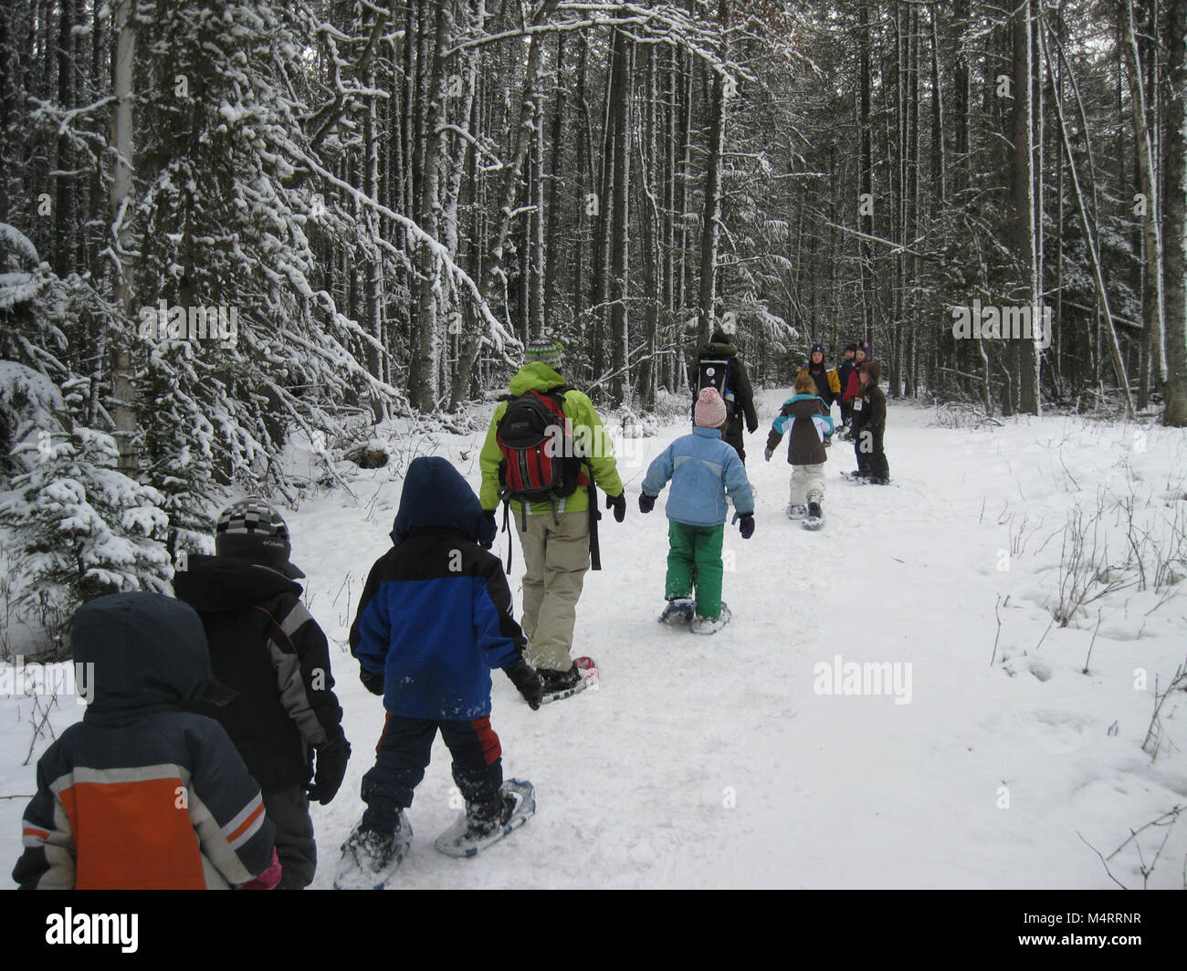 Children on a school field trip with a volunteer education intern ...