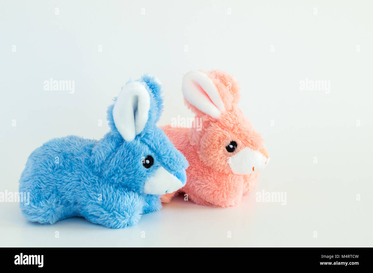 White Rabbit Pink Eyes Stock Photos & White Rabbit Pink Eyes Stock ...