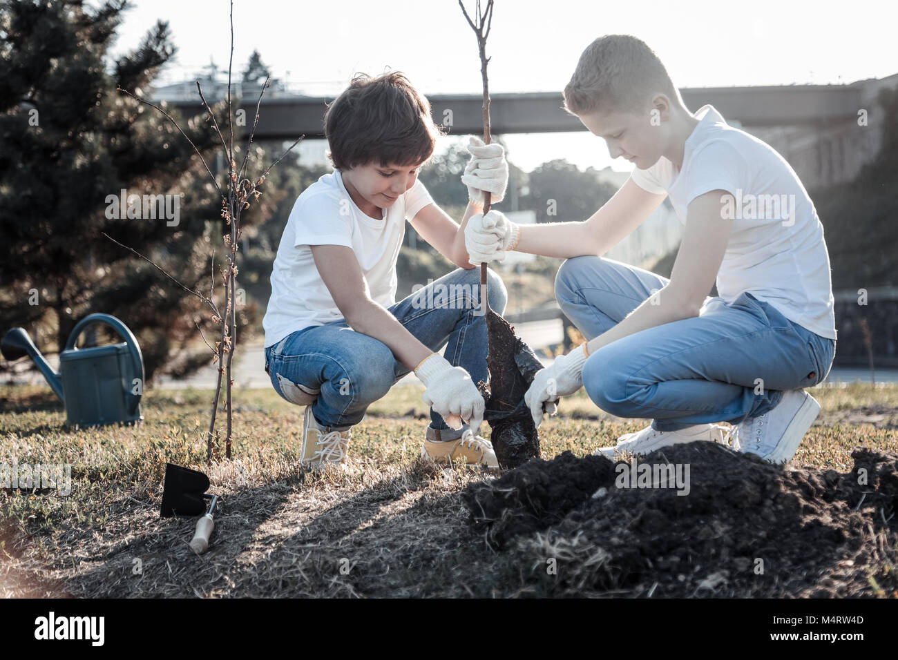 Trees and joyful environment hi-res stock photography and images - Alamy