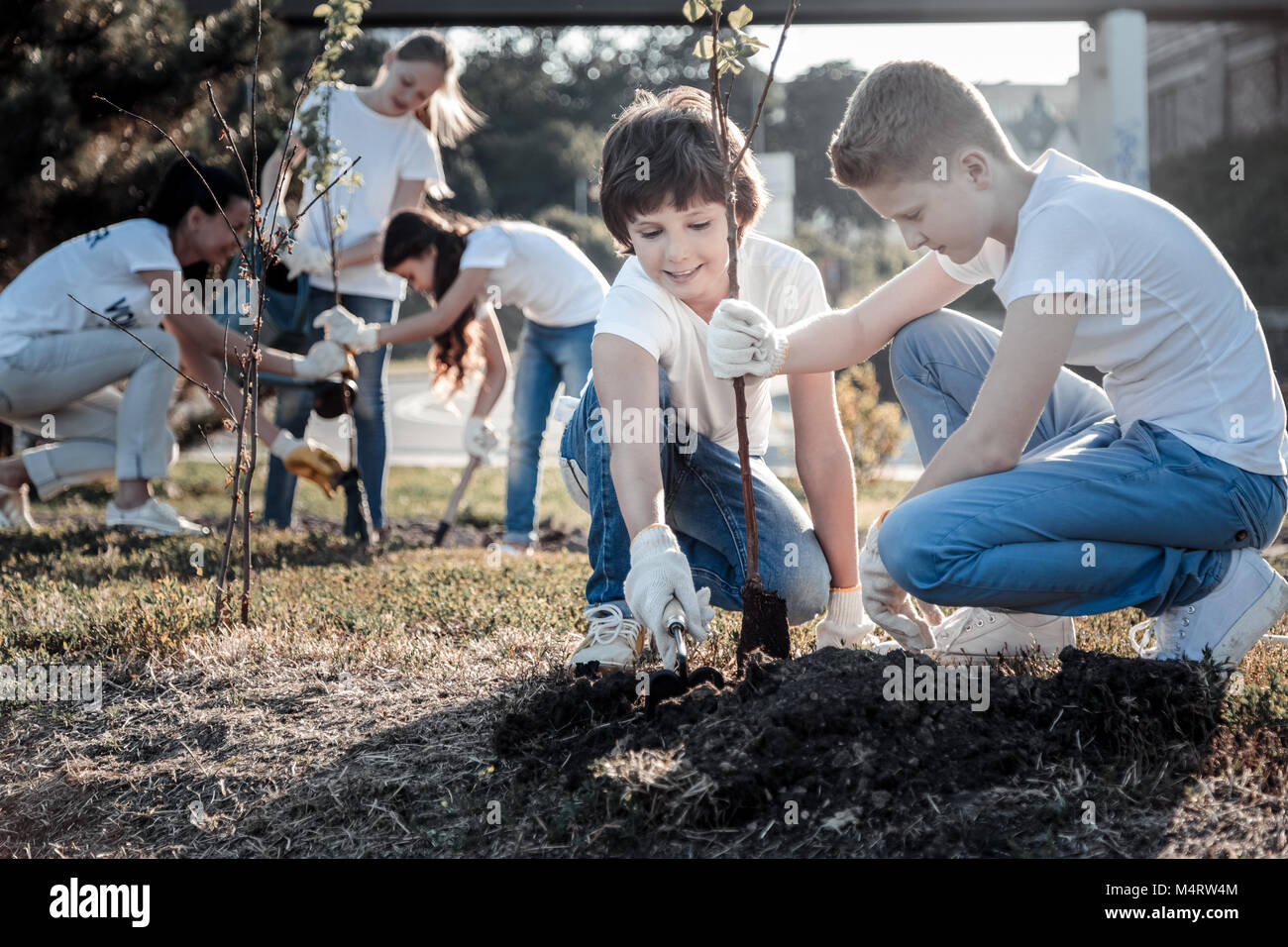 Positive smart boys planting a tree Stock Photo - Alamy