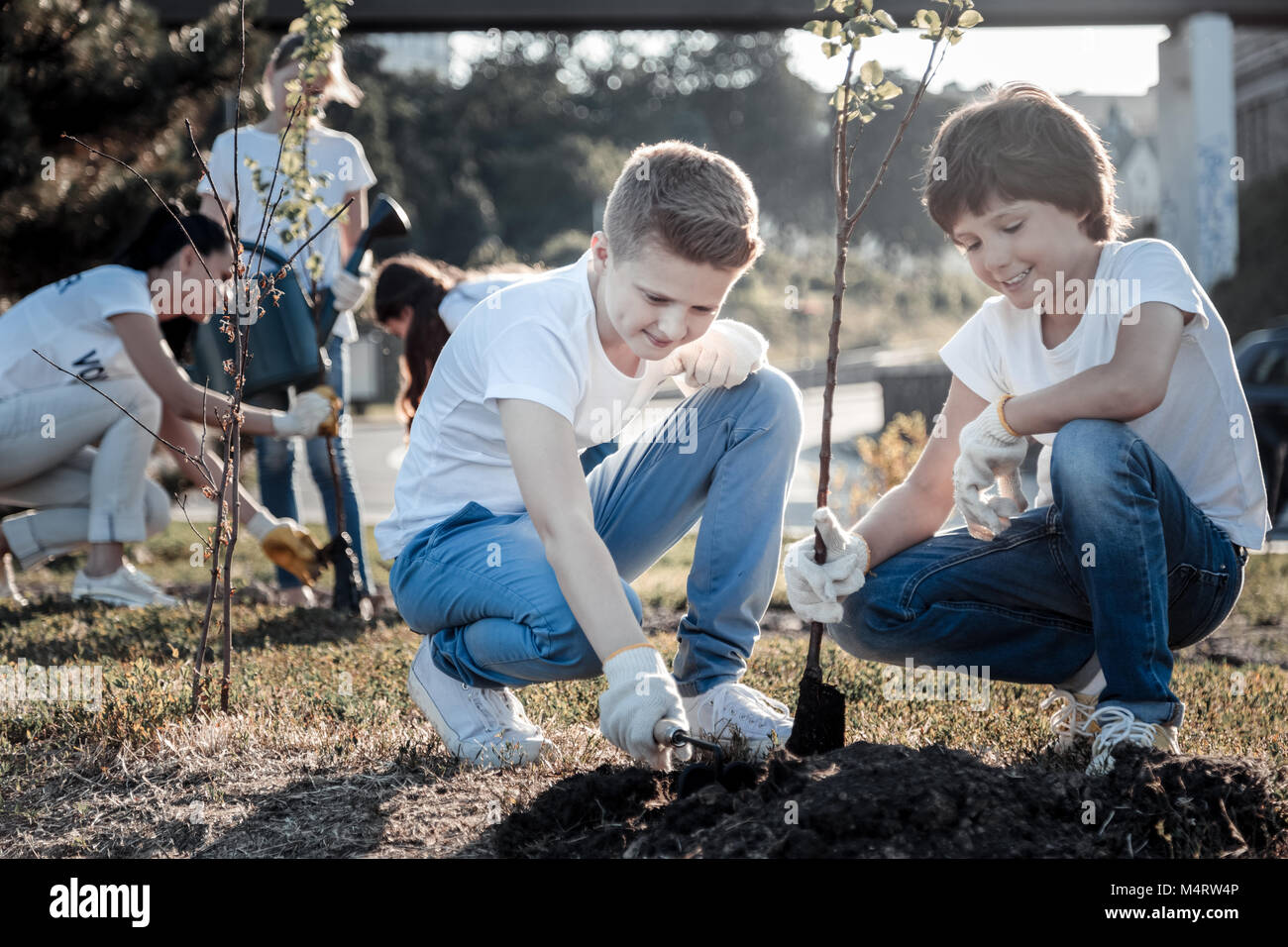 Boy planting a tree hi-res stock photography and images - Alamy
