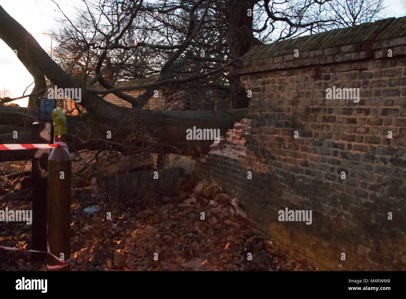 Tree from Greenwich park crashes through the wall on Maze Hill and ...