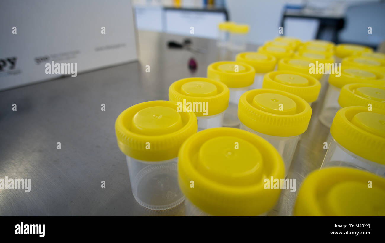 Yellow Phials and test-tubes in laboratory Stock Photo - Alamy