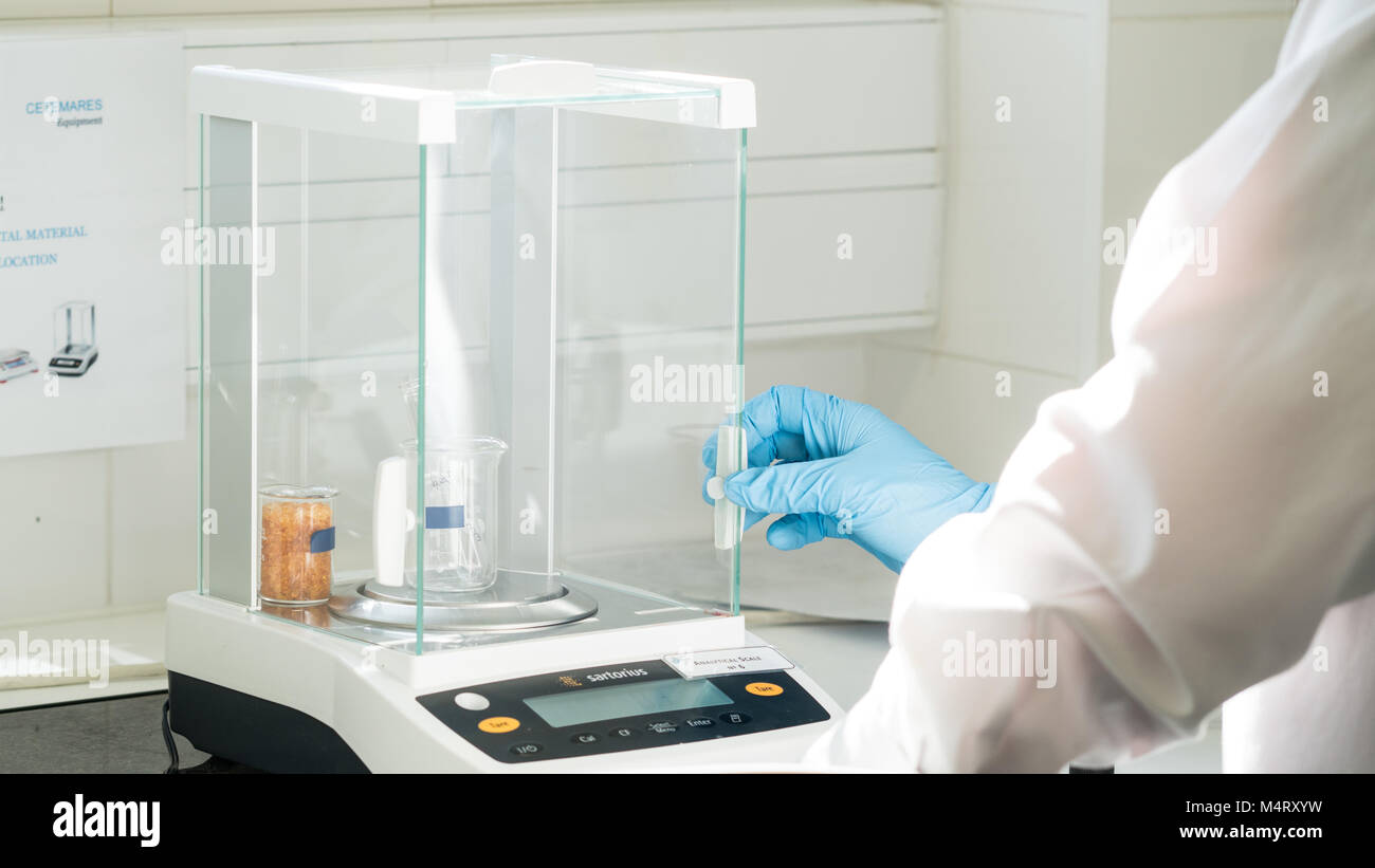 Laboratory scientist women with blue gloves on experiment process Stock ...